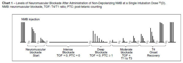 How To Accurately Assess Train Of Four Monitoring